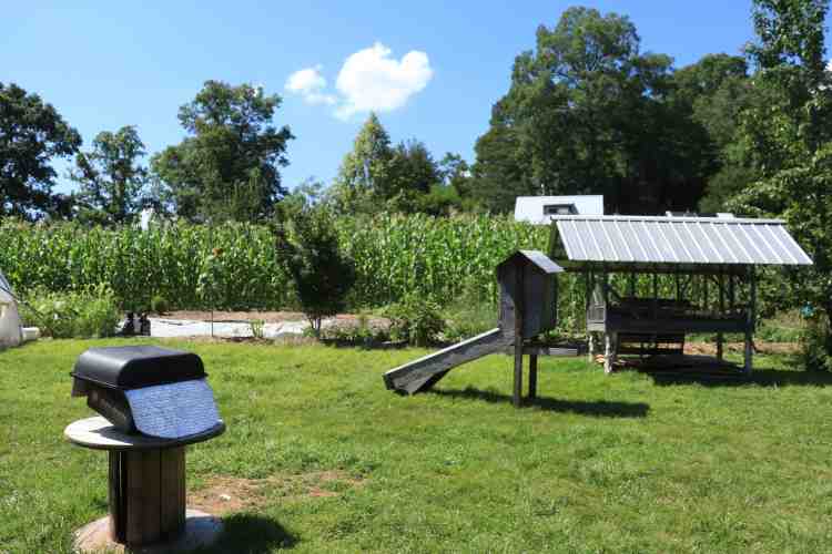 Ideas from Salamander Springs Farm